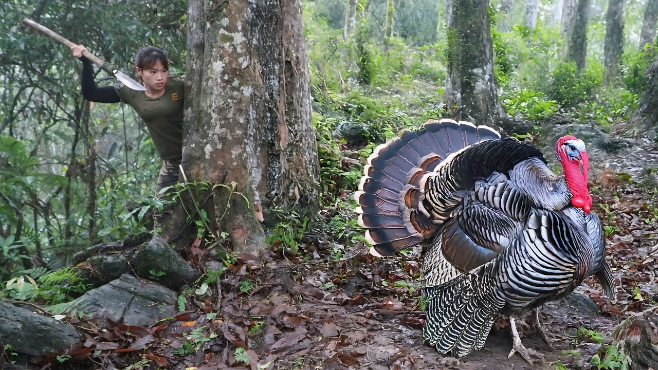 Wild turkey appeared! I immediately made a trap to catch the turkey ...