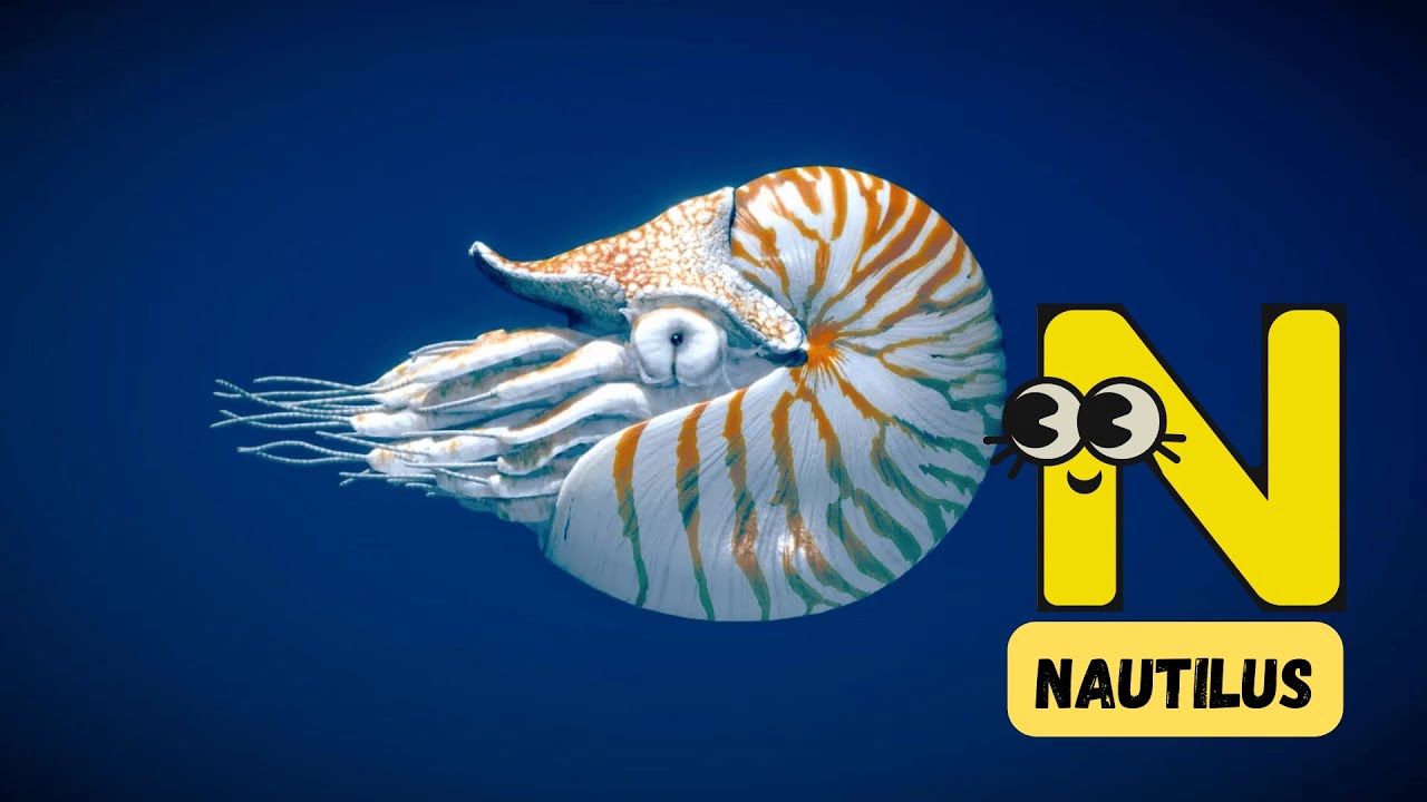 A to Z Ocean Animal Song for Kids | Fun Alphabet Learning with Sea ...