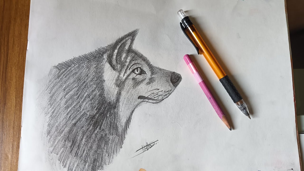 beautiful dog sketch #art #drawing #unique #amazing #dog - YouTube