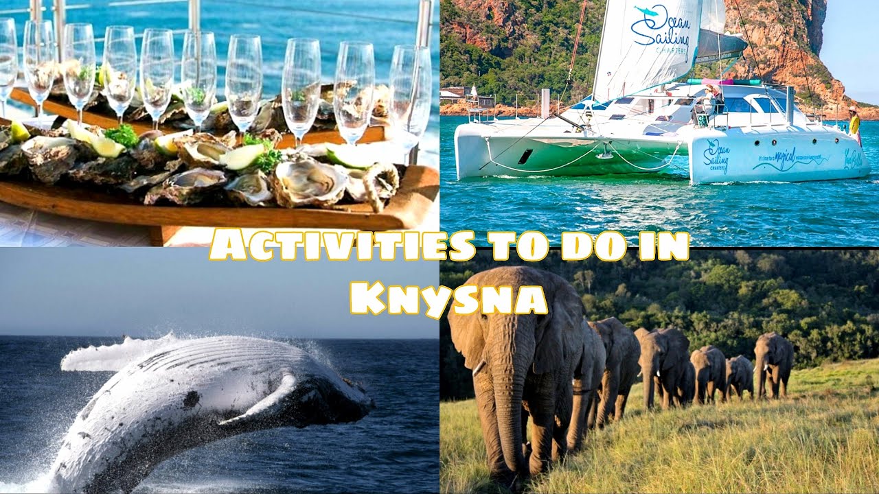TOP 5 ACTIVITIES TO DO IN KNYSNA || TOURIST DESTINATION - YouTube