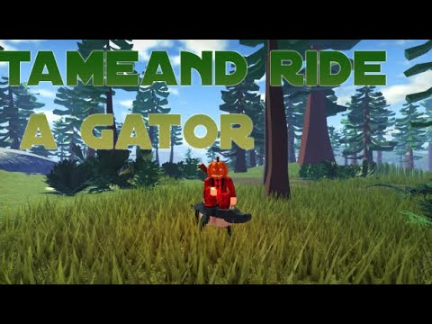 How to Tame and ride a gator!!! The Wild West TWW - YouTube