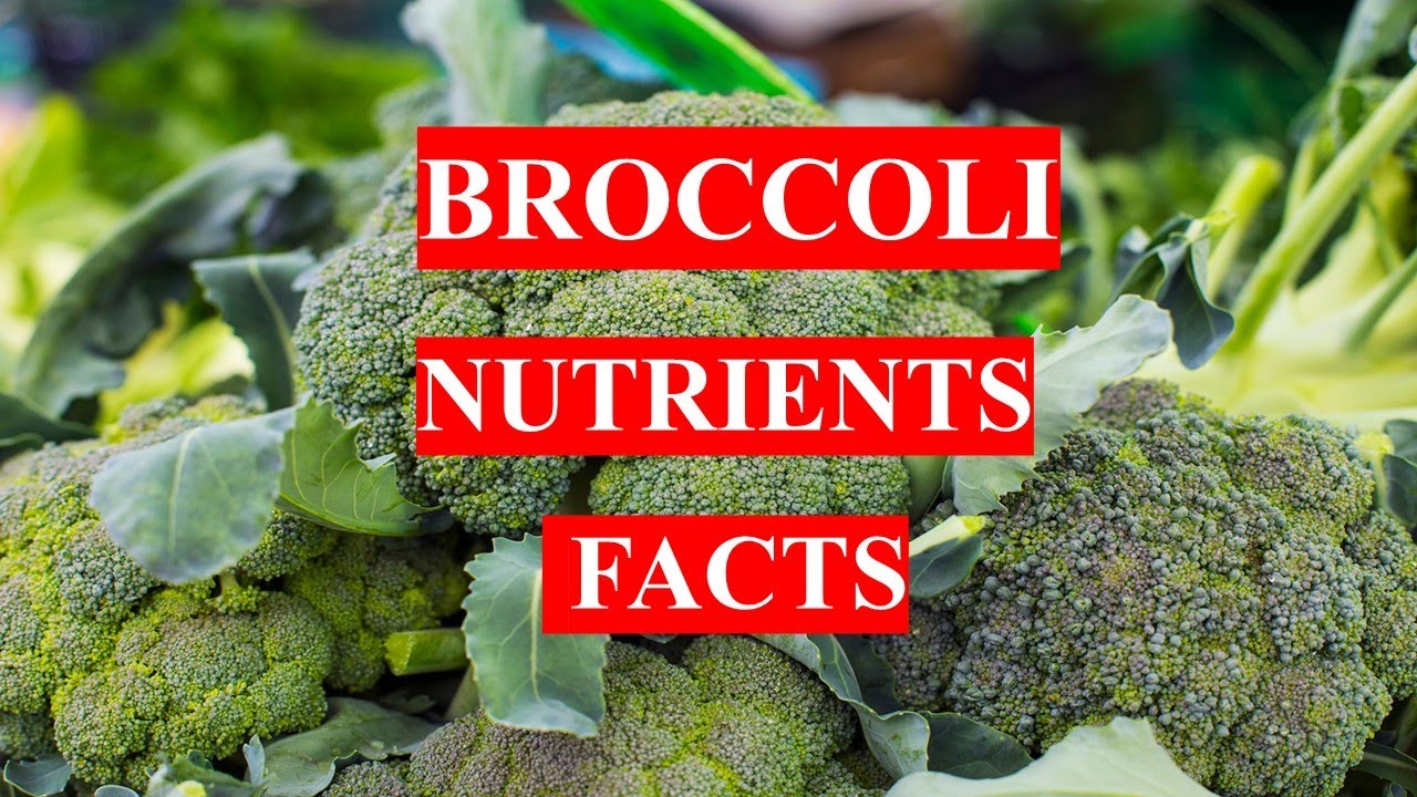 BROCCOLI - HEALTH BENEFITS AND NUTRIENTS FACTS - YouTube