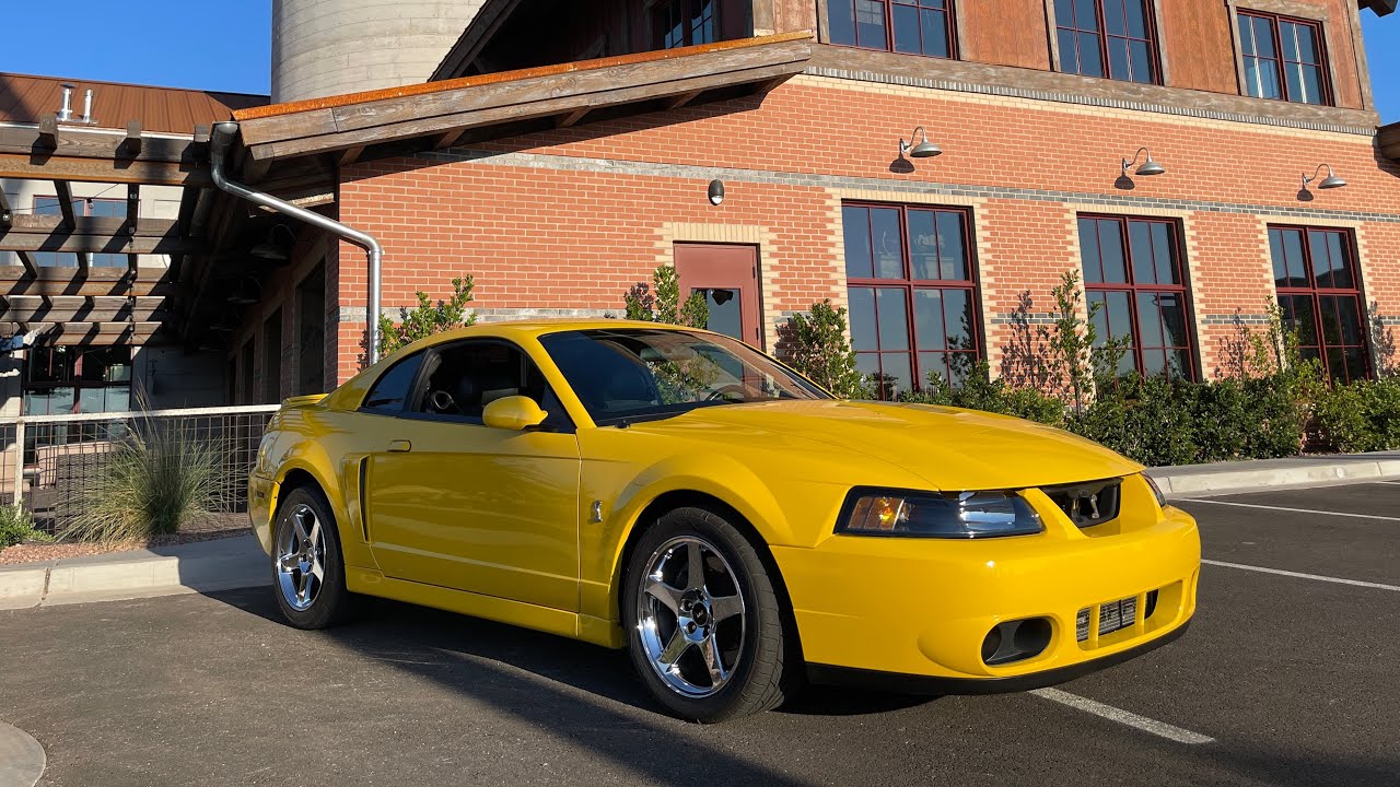 SVT Cobra Terminator, Mach 1 vlog - YouTube