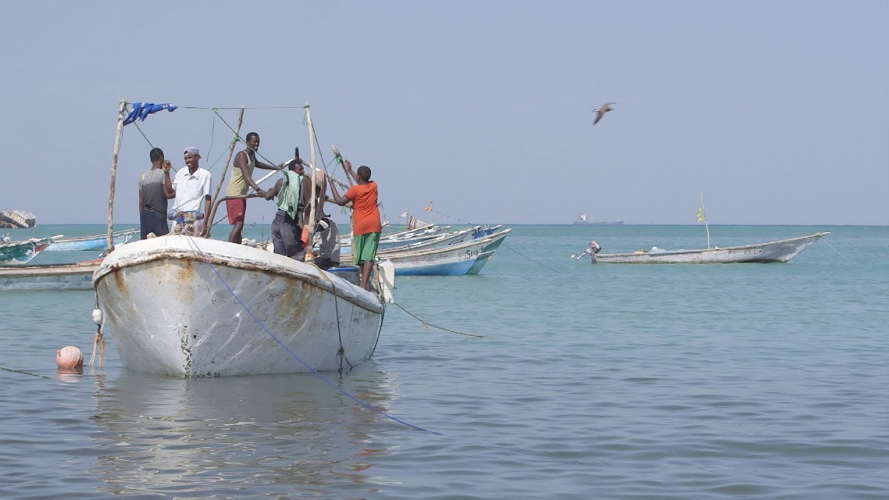 Fishing And Piracy In Somalia