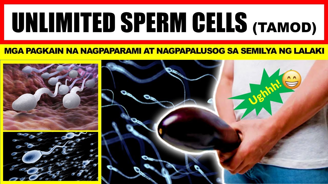 HOW TO INCREASE SPERM COUNTS? MGA PAGKAIN NA NAGPAPARAMI AT NAGPAPA ...