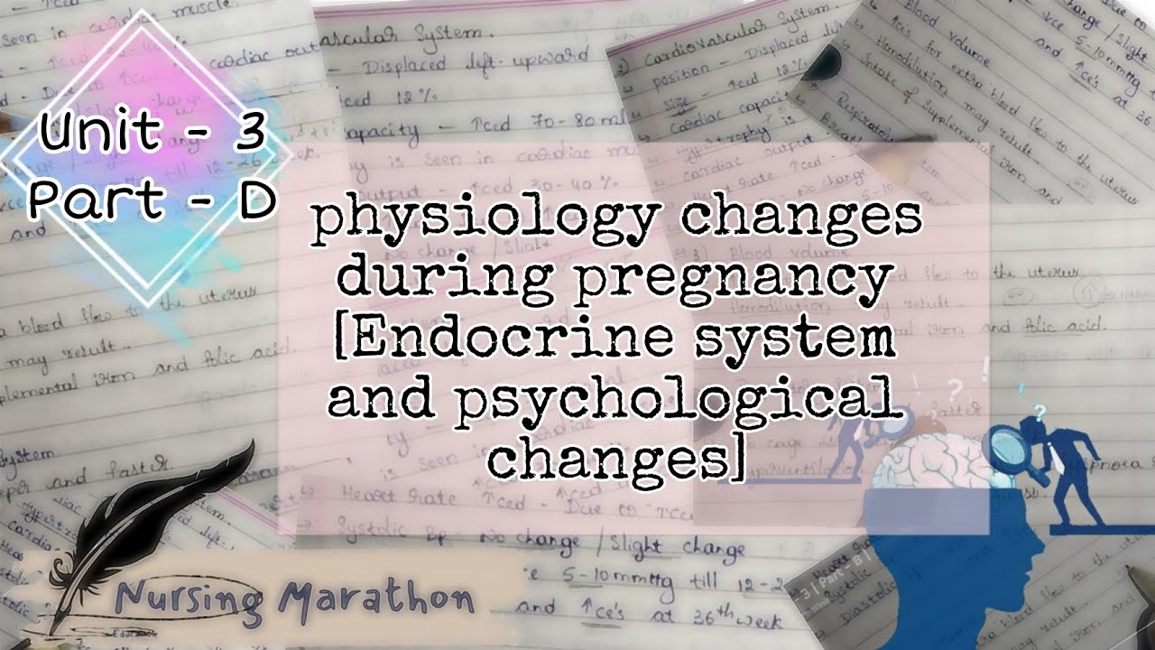 Unit-3 |Part-D |OBG |Physiology changes during pregnancy |Endocrine ...