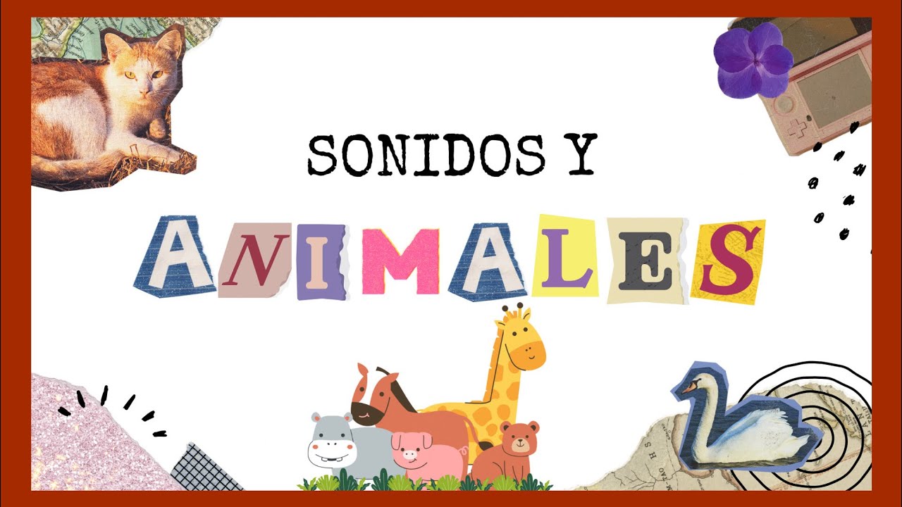 Animales y sonidos en español | música y juegos | Aula divertida con ...
