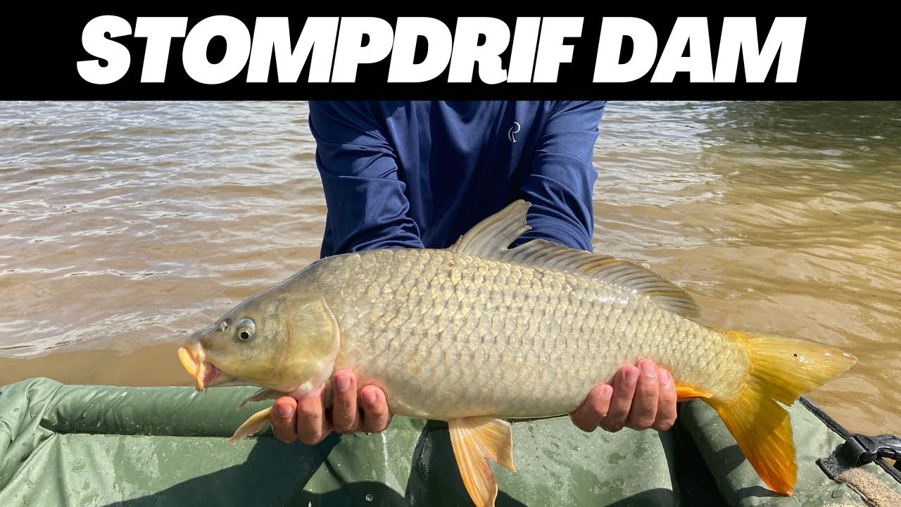 Carp Fishing & Camping at Stompdrif Dam [Video 14] - YouTube