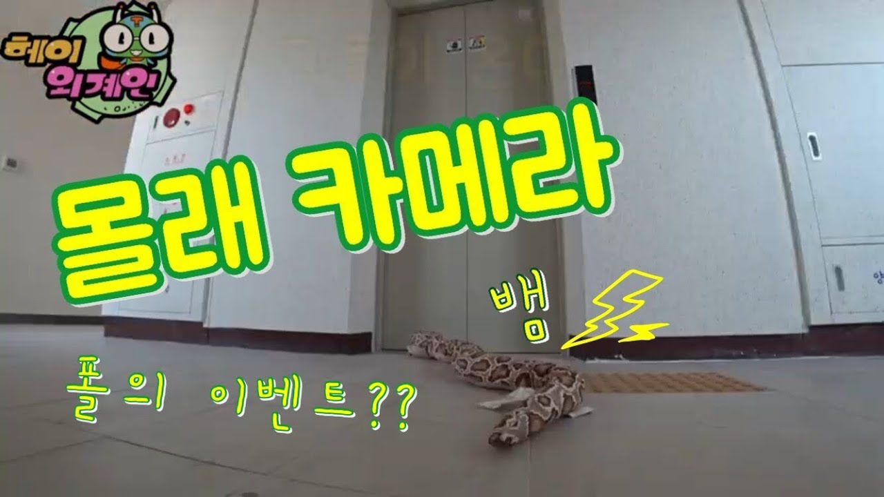 헤이외계인 폴의 몰래카메라 Hey Alien Paul's Pranks - YouTube
