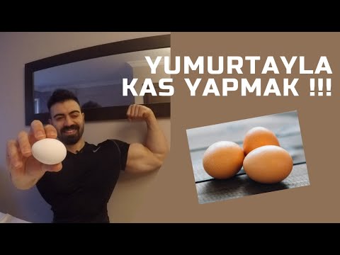 YUMURTADAN NE KADAR PROTEIN ALABİLİRİZ ?? ( YUMURTAYLA KAS YAPMAK )