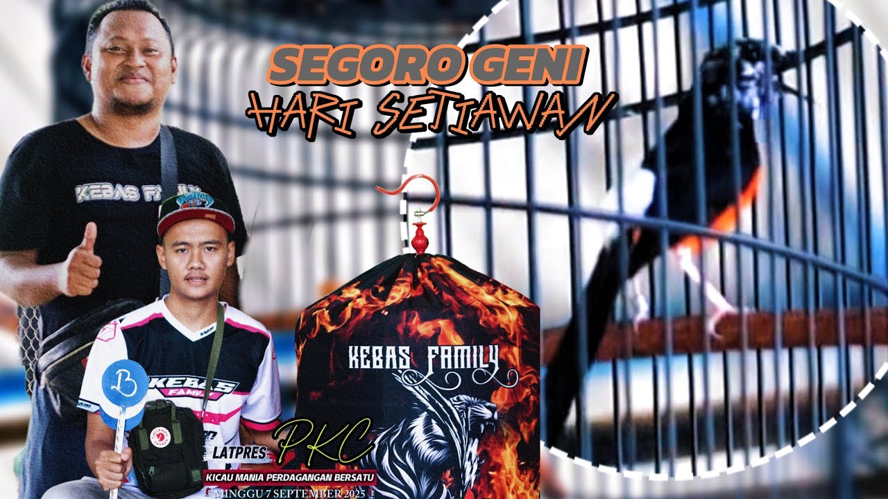 SEGORO GENI SEMAKIN MENONJOL DAN STABIL DI SETIAP EVENT 🔥🔥 - YouTube