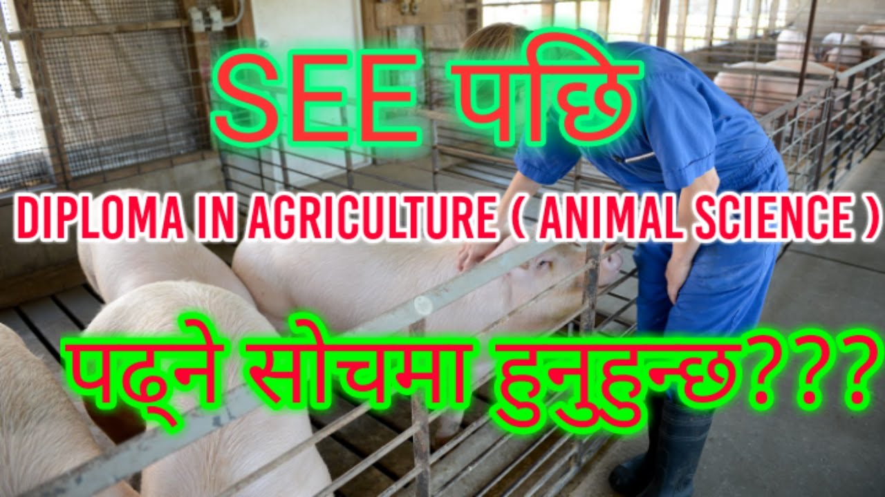 Diploma In Agriculture Animal Science In Nepal Scope Colleges diploma-in-agriculture-animal-science-in-nepal-scope-colleges