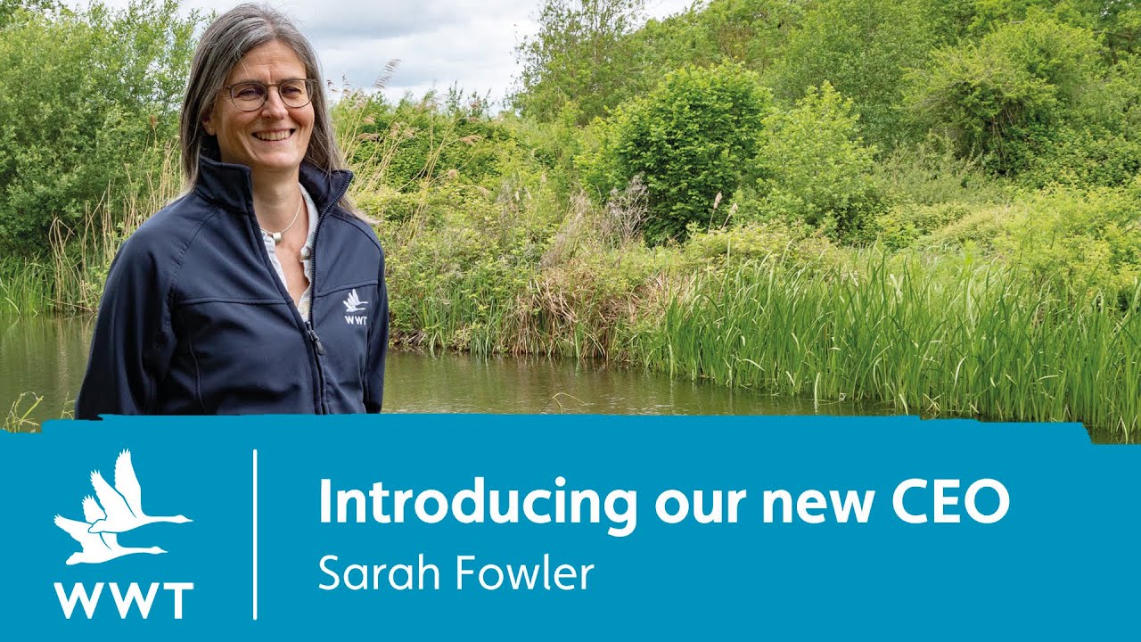 Introducing our new CEO | WWT - YouTube