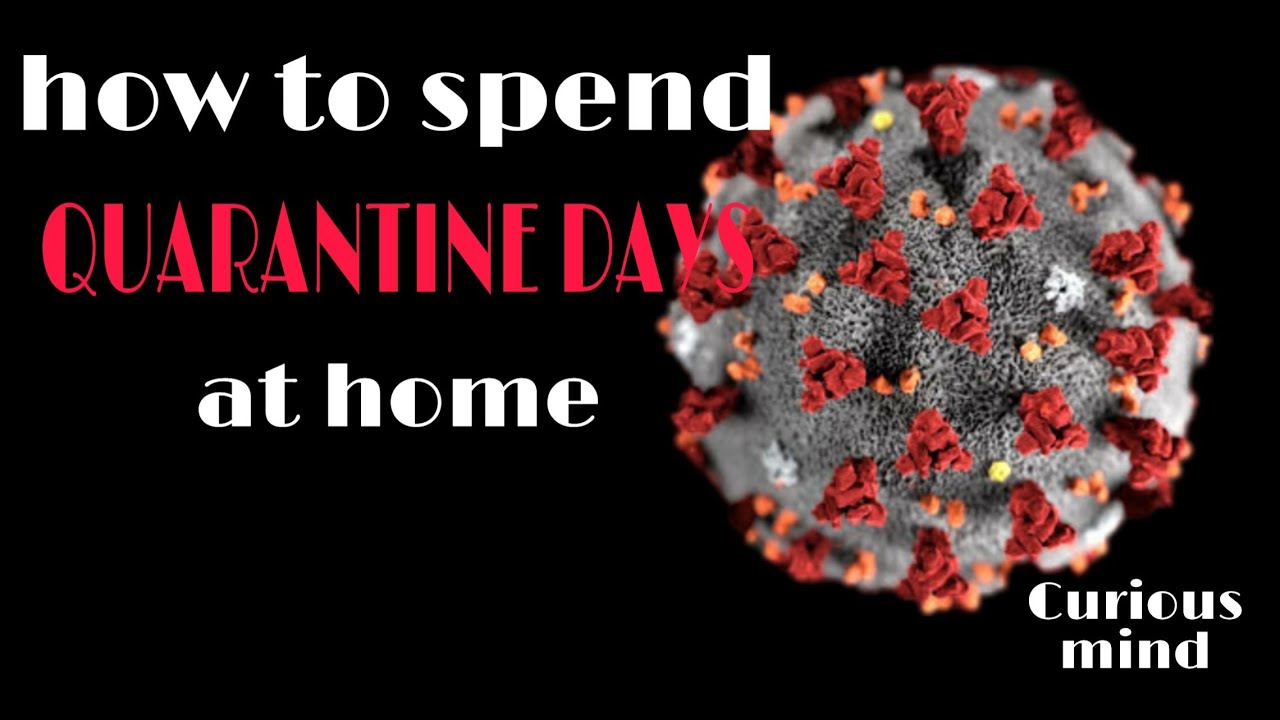How to spend quarantine days at home by Curious Mind. - YouTube