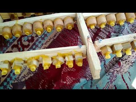 Baştan sona ana arı yetiştirme ve püf noktaları. Bee transfer making methods easy and simple!