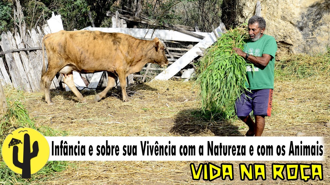 [VIDA NA ROÇA] NEGO ZÉ cria 17 Cachorros e fala da infância e vivência ...
