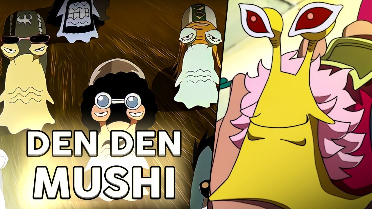 DEN DEN MUSHI: Os caracóis comunicadores de One Piece - YouTube