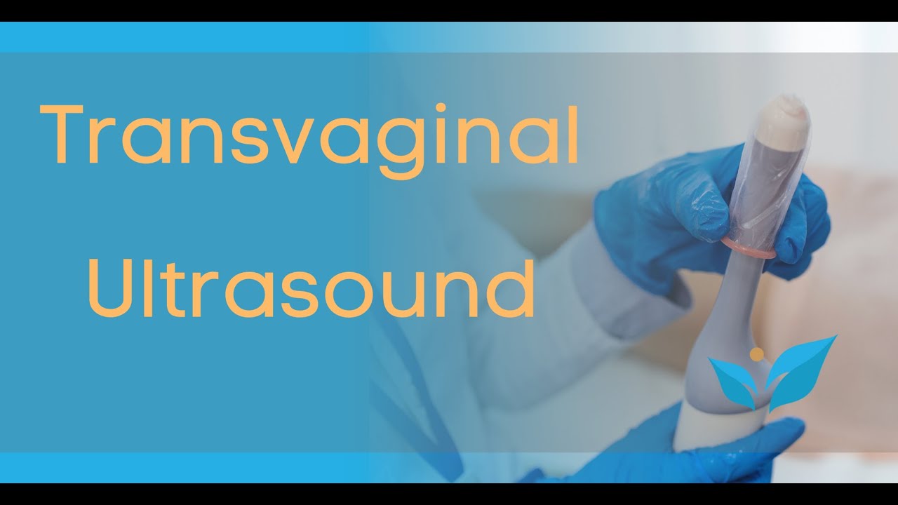 Mastering Transvaginal Ultrasound: Expert Tips and Techniques - YouTube