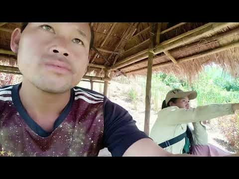 hnub no wb ib niam txiv mus tho kab xyoob - YouTube