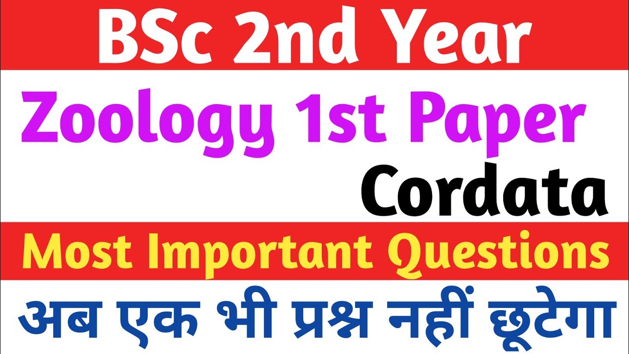 BSc 2nd year Zoology 1st paper | Last Year model Paper | All imp ...