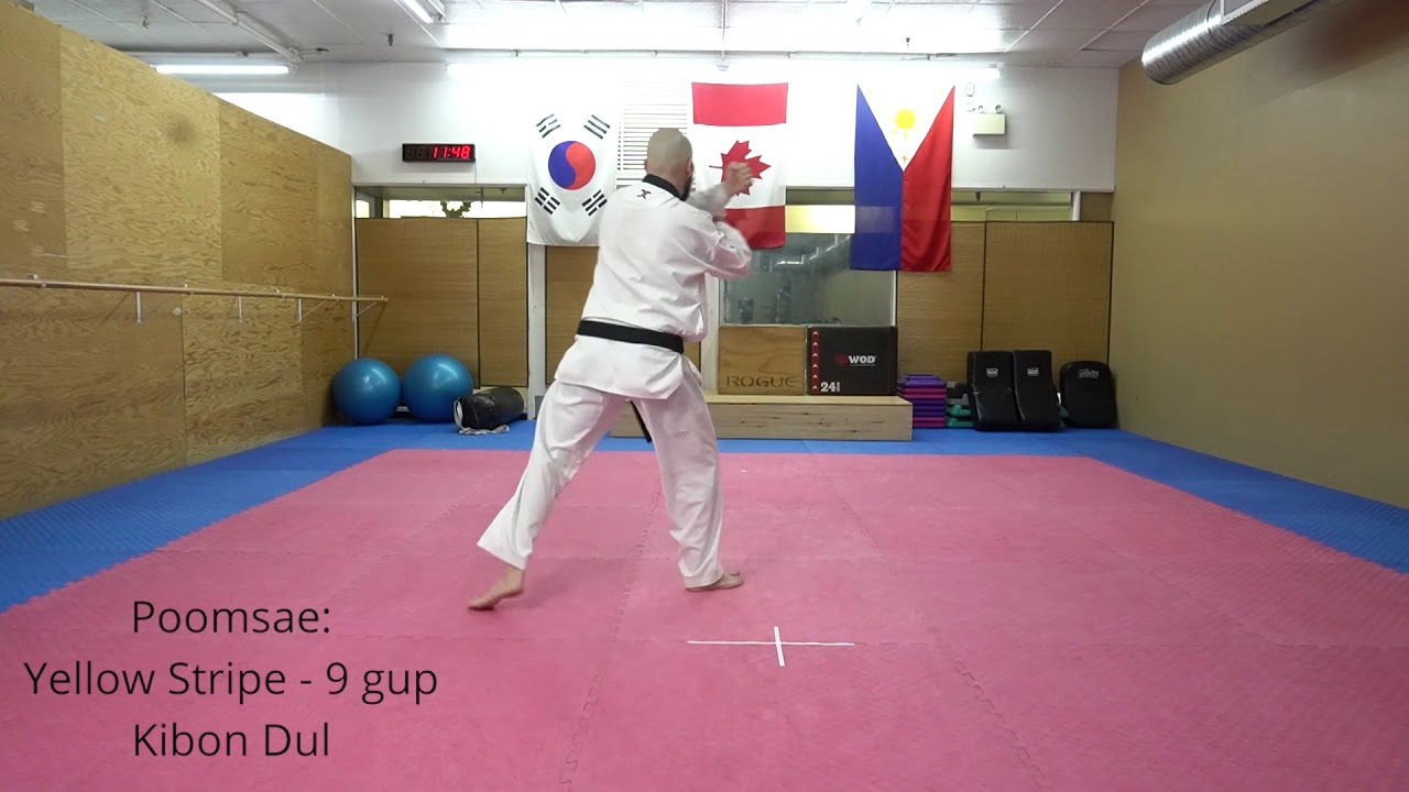 TaeKwonDo Poomsae #2 - YouTube