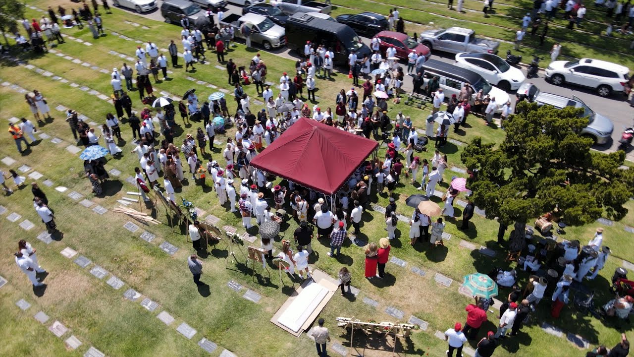 Tenelle - Mo'omo'oga (Official Lyric Video) feat. Nyssa Collins - YouTube