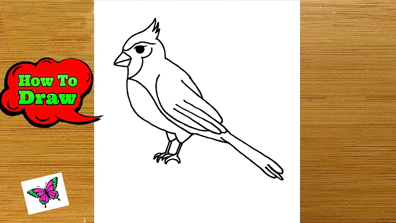 How to Draw a Cardinal | Cardinal Bird Drawing - YouTube