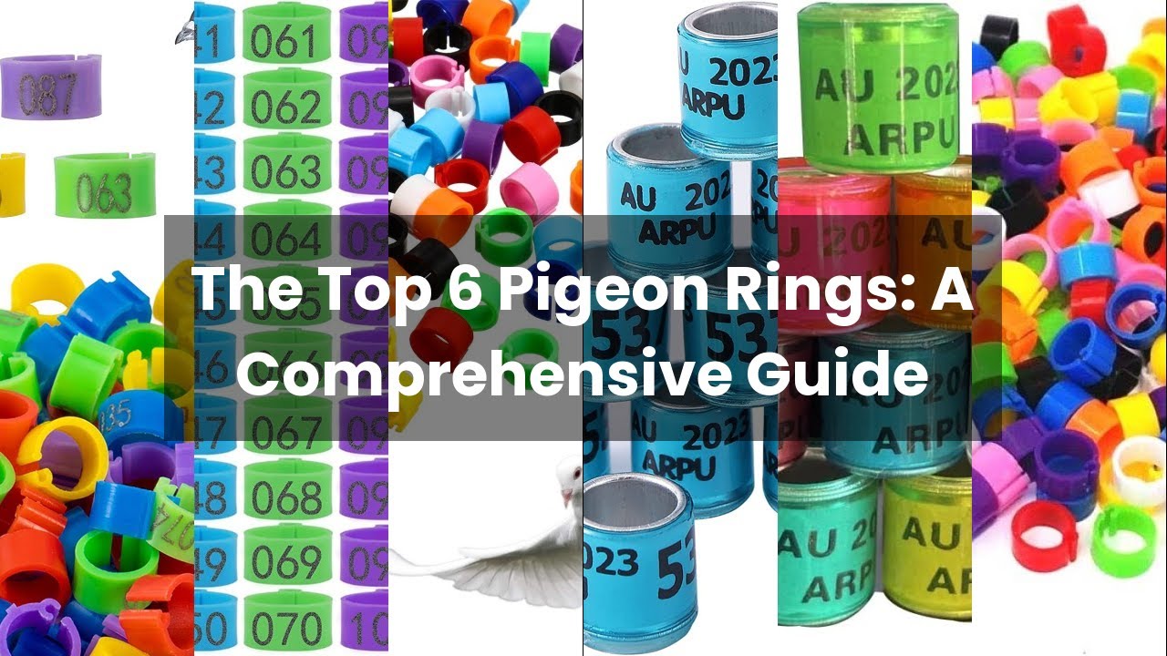 Rings for pigeons: The Top 6 Pigeon Rings: A Comprehensive Guide - YouTube