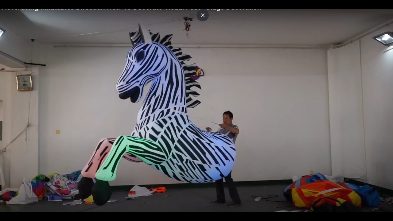 Walking Inflatable Zebra Costume With LED strip for Visual Stage ...