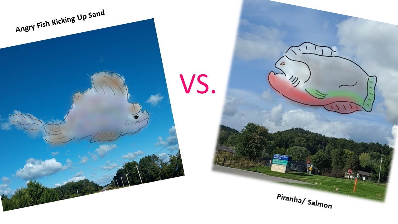 Fish v. Fish (showing the illustration process) - YouTube