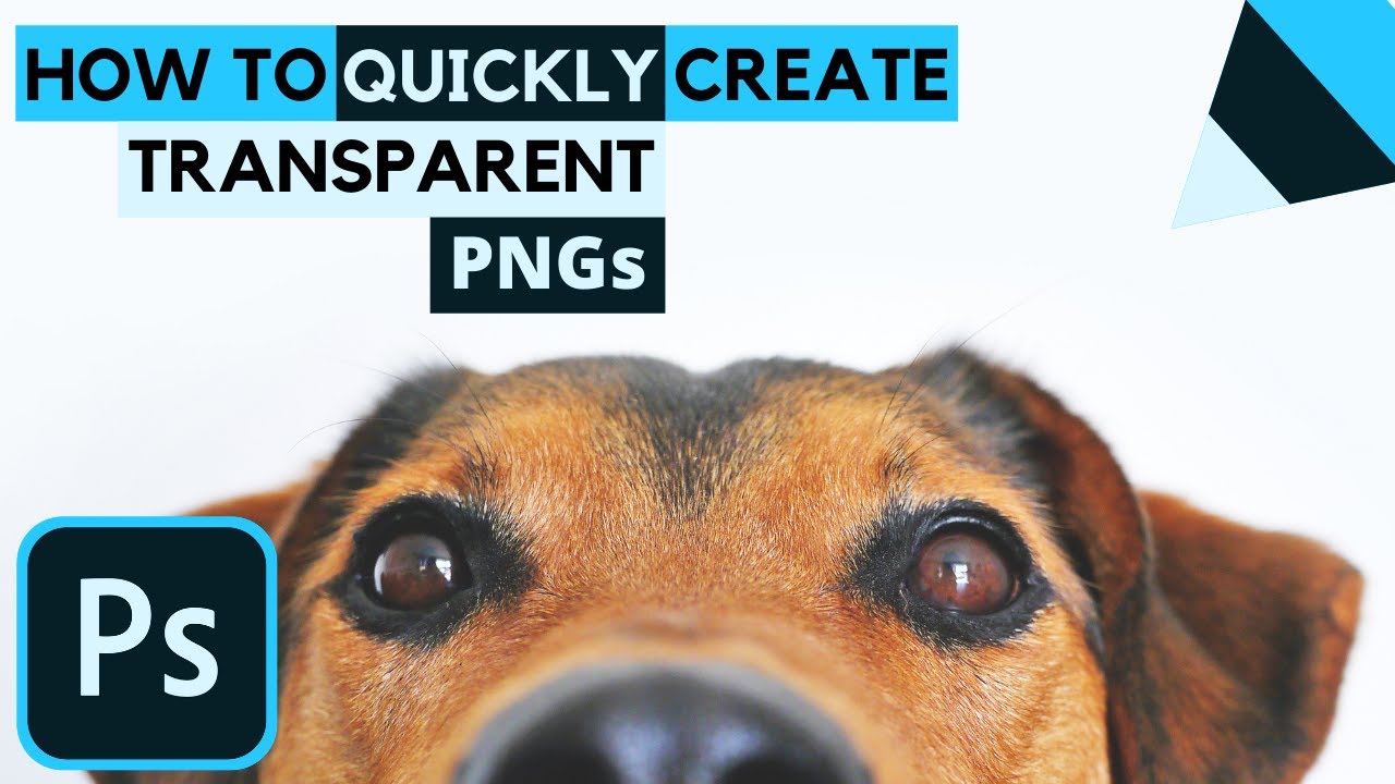 How to cut out any object and put it on a transparent background ...