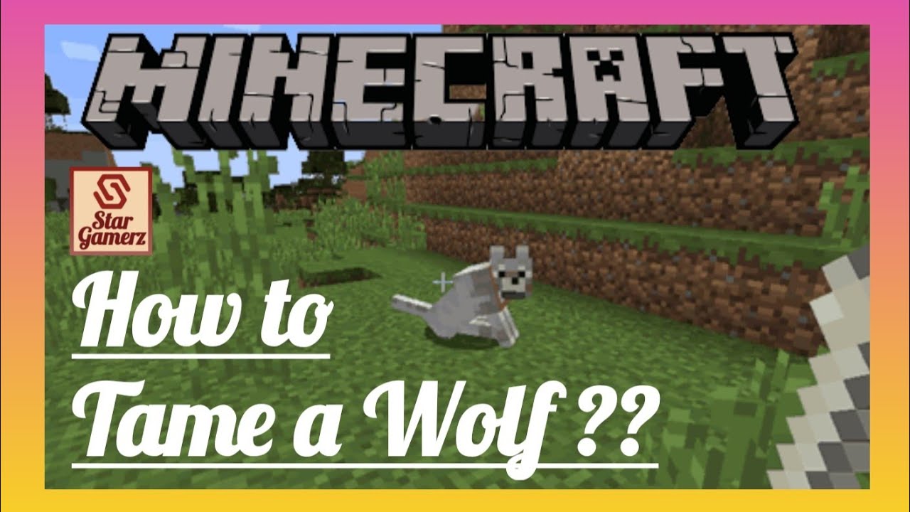 How to Tame a Wolf in Minecraft ?? For Basic Learners - YouTube
