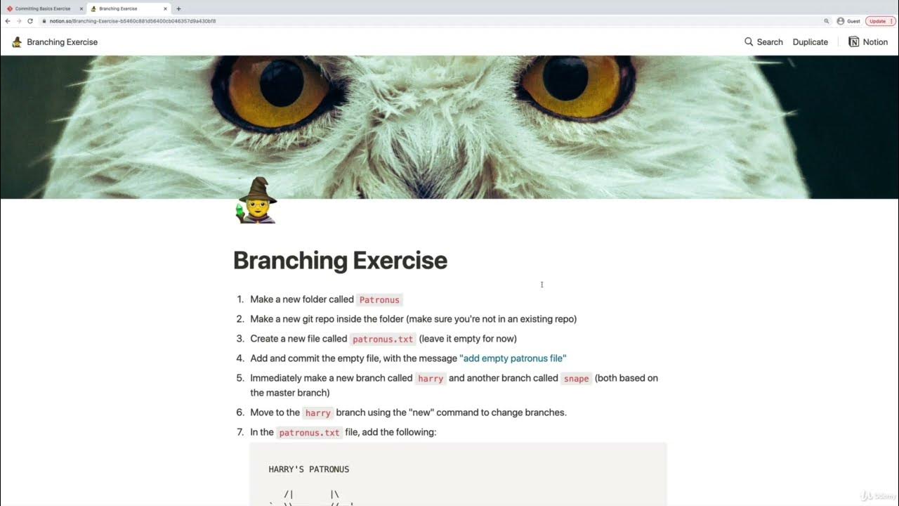 Branching Exercise - YouTube