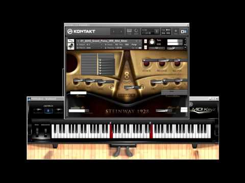 Fur Elise - Beethoven - 8Dio 1928 Legacy Steinway Piano