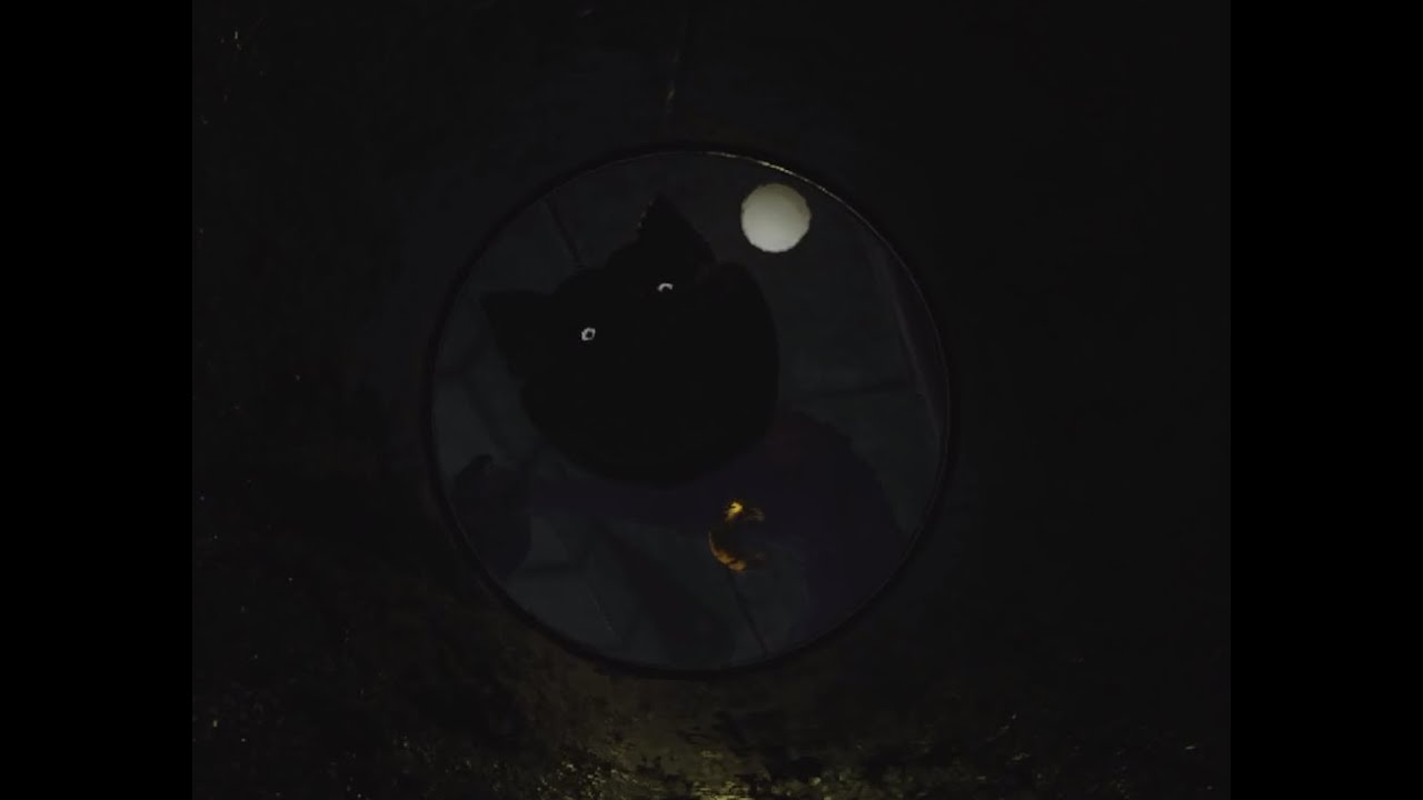 getting thrown out a garbage chute by catnap - YouTube