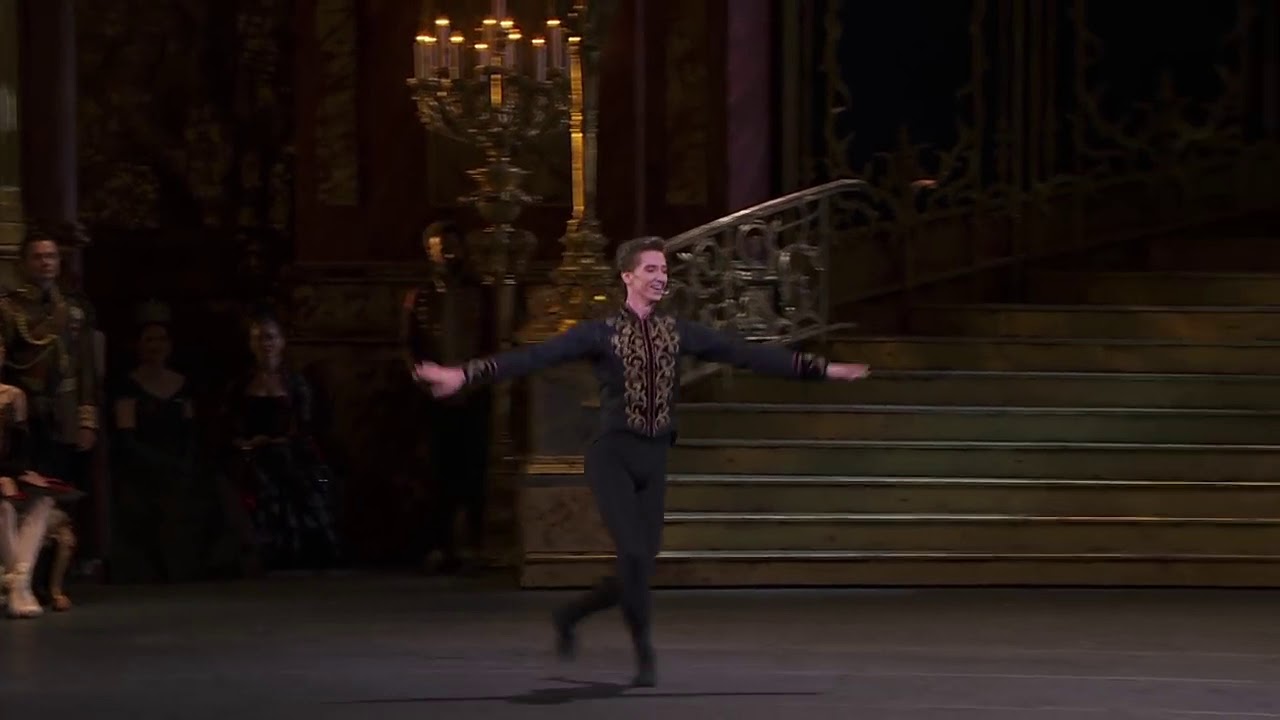Royal ballet prince Siegfried variation and Odile's coda - YouTube