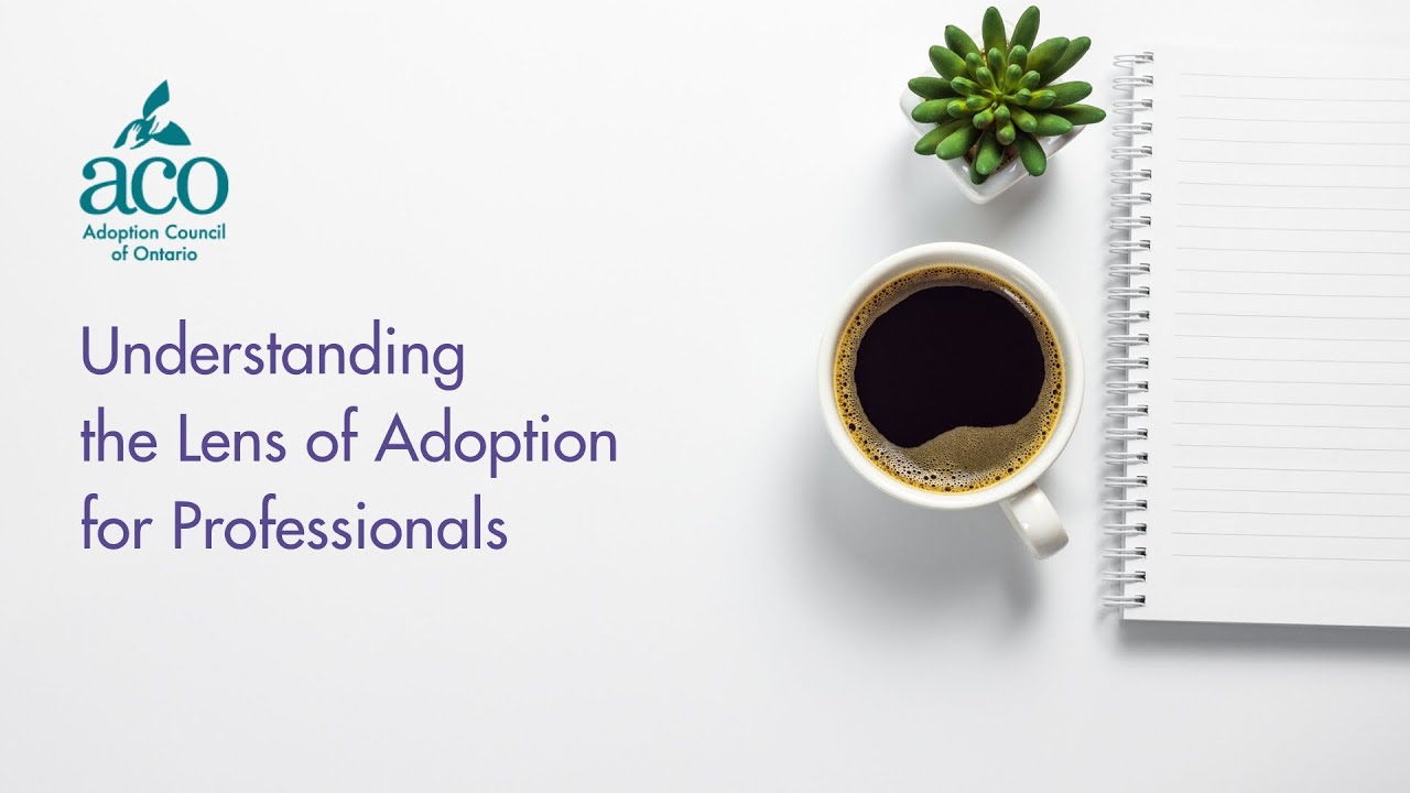 Understanding the Lens of Adoption for Professionals - YouTube