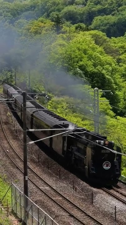 【SLぐんま2023】D51-498+旧客編成「SLぐんま水上」新緑の諏訪峡通過快速通過！[JR EAST] steam locomotive class D51 pulling "SL ...