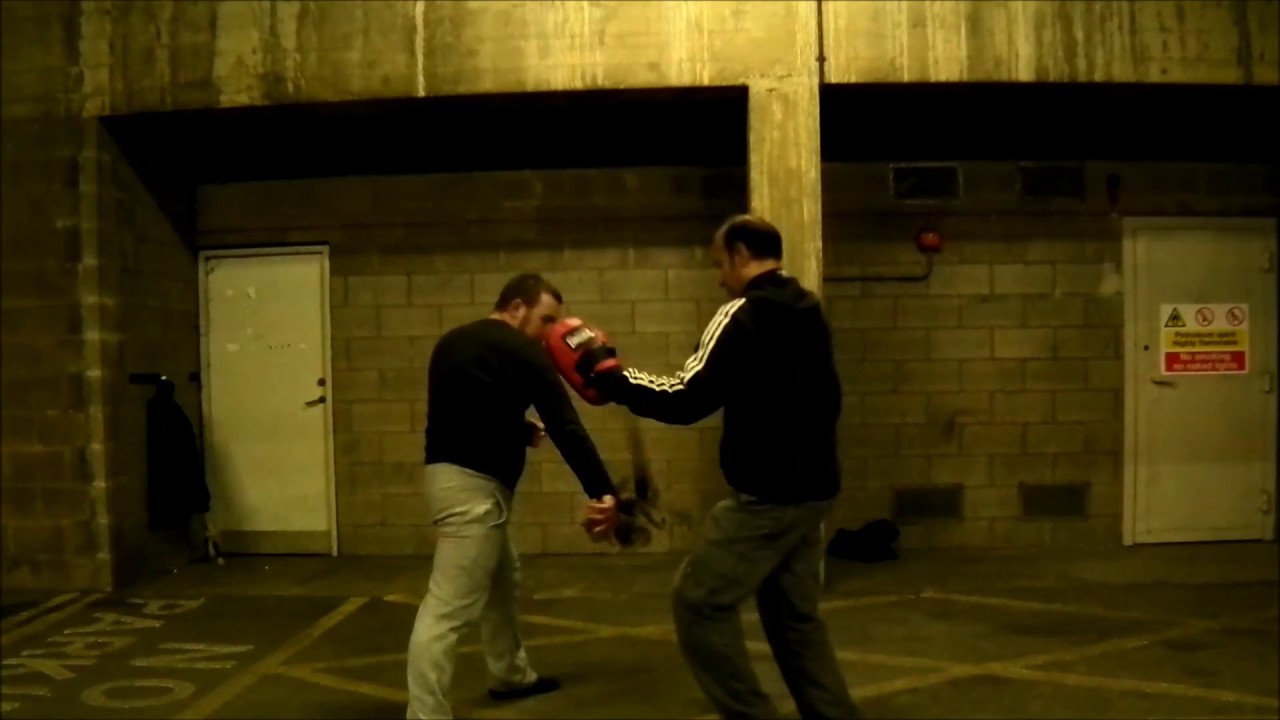 Xing Yi Quan - Tiger Palm Strike / Pi Quan [Xingyiquan / Hsing I Chuan ...