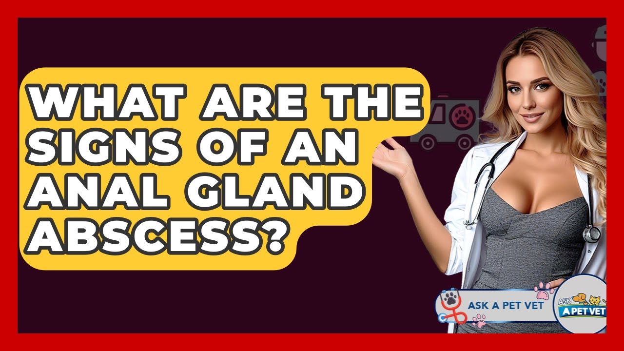 What Are The Signs Of An Anal Gland Abscess? - Ask A Pet Vet - YouTube