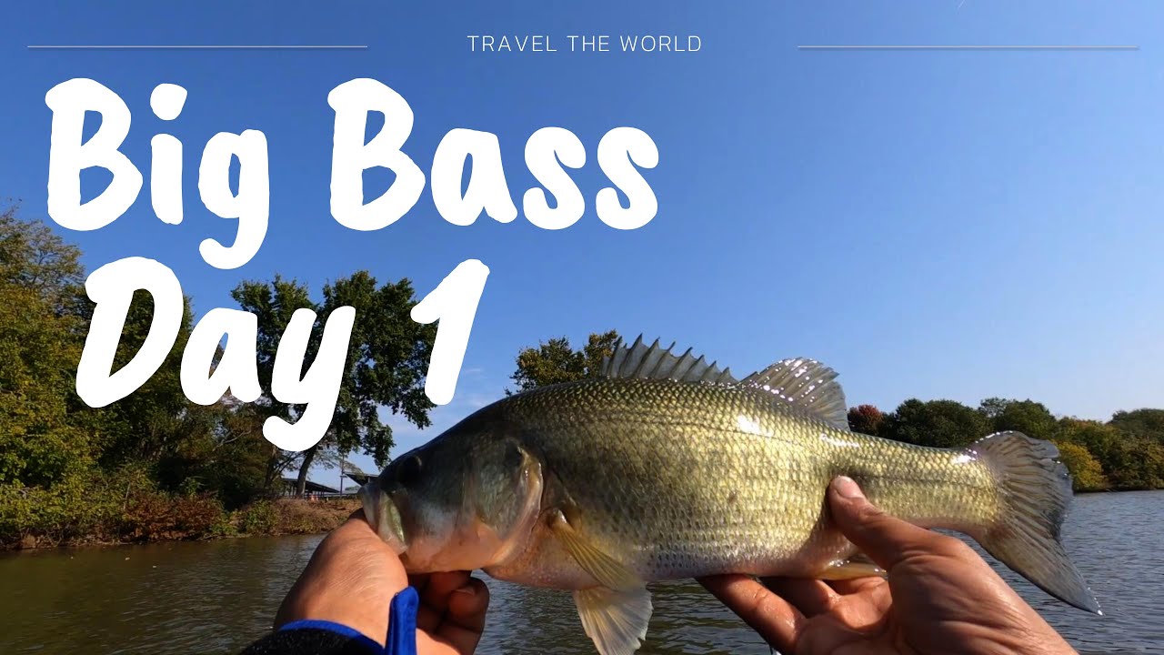 Big Bass Day 1de invierno - YouTube