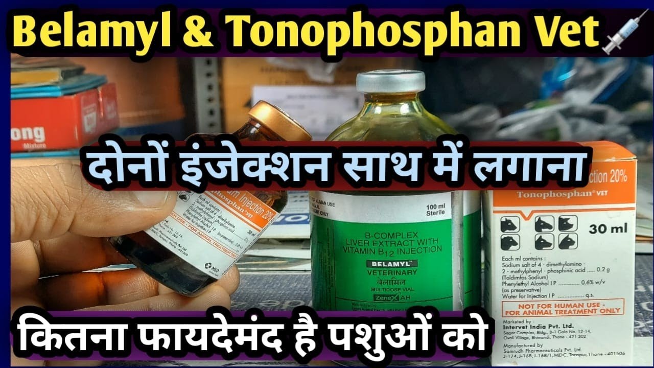 Belamyl & Tonophosphan Vet injection दोनों इंजेक्शन का साथ में उपयोग ...