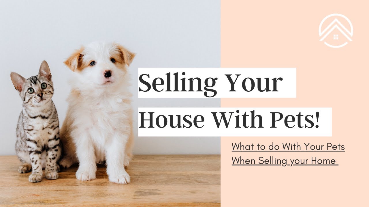 SELLING YOUR HOUSE WITH PETS! What to do With Your Pets While You Sell ...