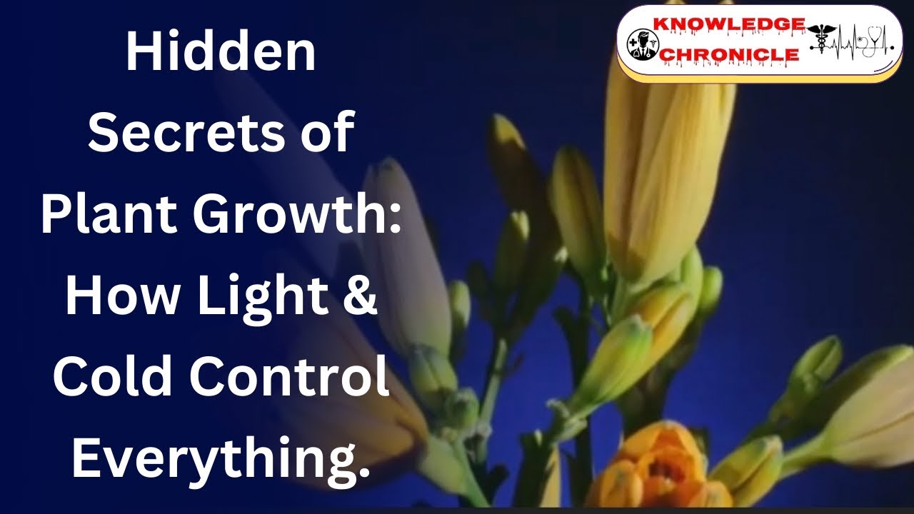 The Secret Science Behind Plant Growth: How Light and Cold Control ...