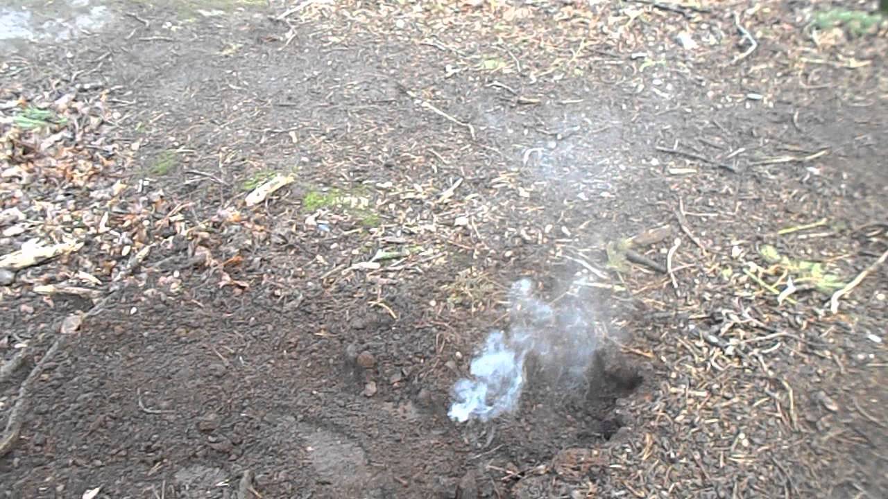 Le tigre BISON 0 and U2 firecrackers explosions - YouTube