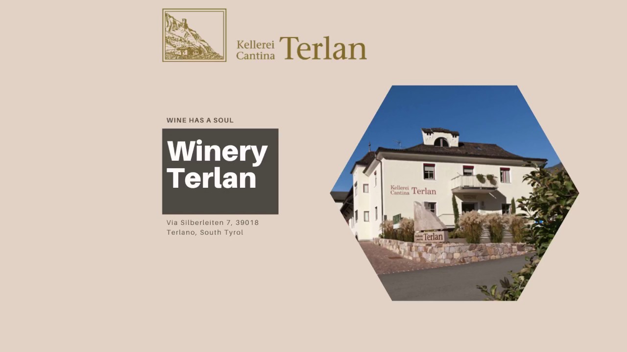 Winery Terlan - south Tyrol - YouTube