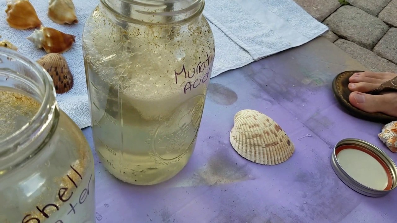 Muriatic Acid on shells - YouTube