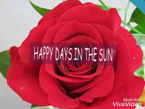 Good Night Wishes 2022 | Good Night WhatsApp Status Love Video Download | Sweet Dreams