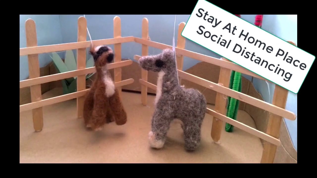Social Distancing in Llama Land episode 3 Stay at Home Place - YouTube