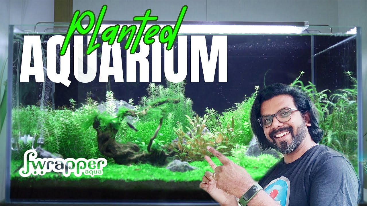 Planted Aquarium Fish Tank Setup | High Tech Planted Tank - YouTube